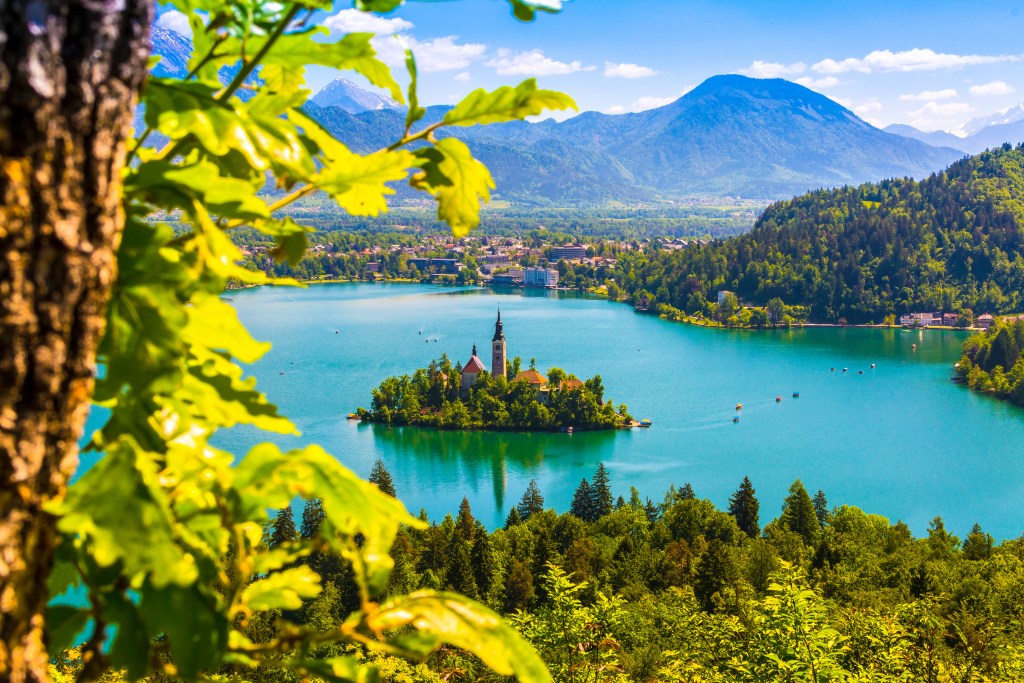 08_AVGUST – Ribiška družina Bled