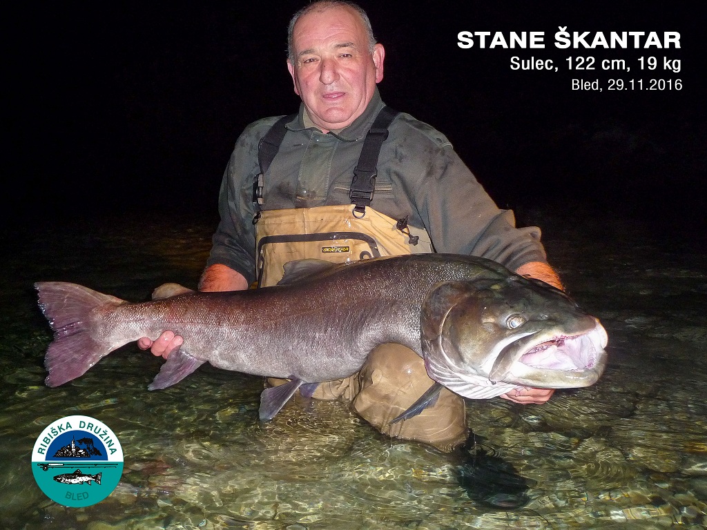 Rekorder Save Bohinjke – Ribiška družina Bled